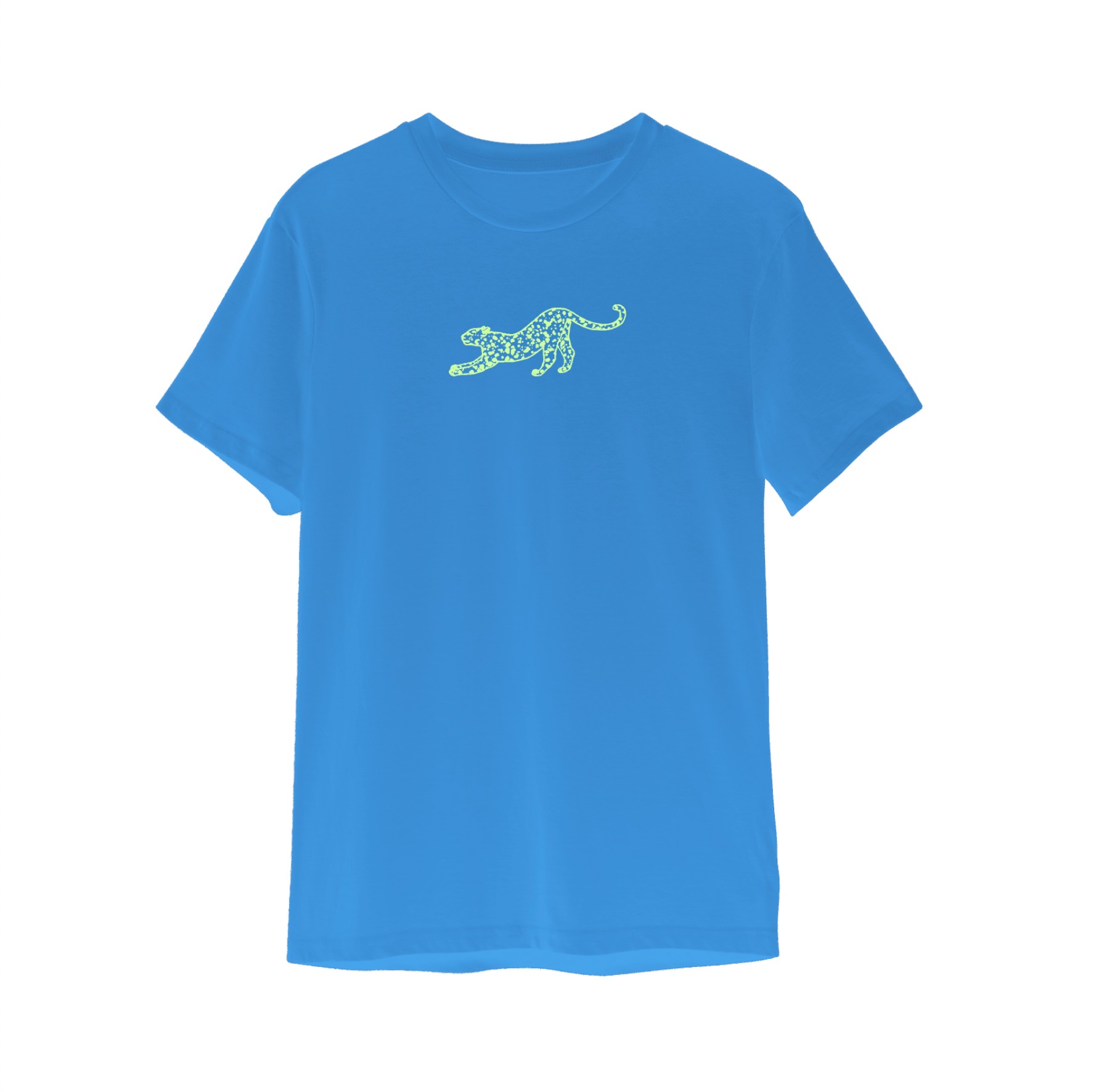 Coca Puma - Panorama Olivia [Azure T-Shirt] – dischisotterranei